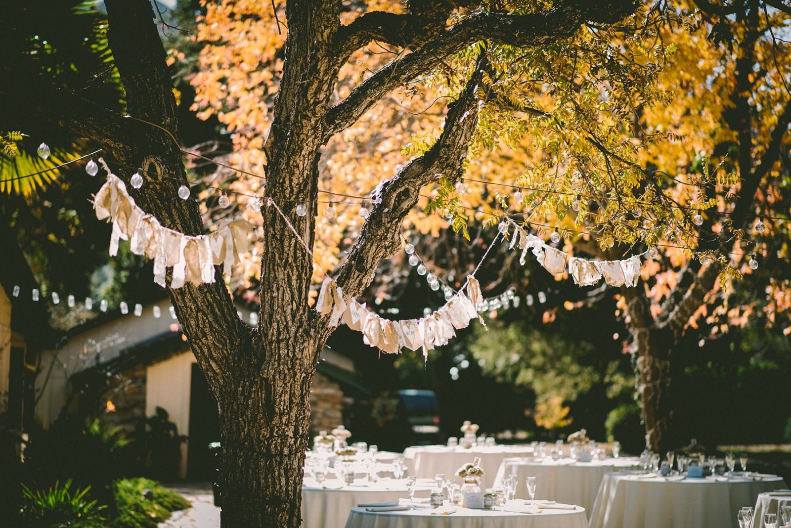 20 Sustainable Eco-Friendly Wedding Ideas | For Better For Worse